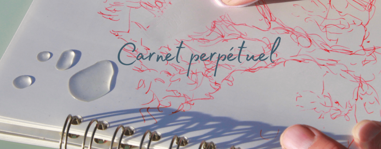 Comment utiliser un carnet perpétuel ? - rocStar